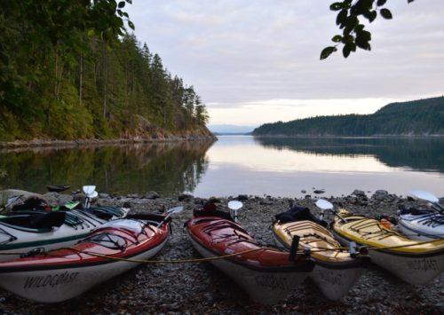 Kayak British Columbia - Home to Killer Whales and Bears