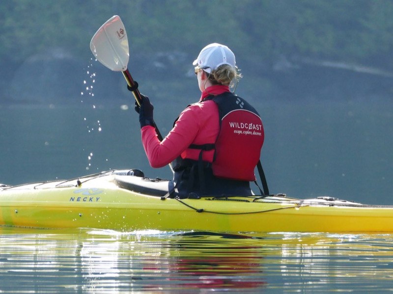 Kayaking with Orcas 202 Tours in Johnstone Strait Vancouver Island