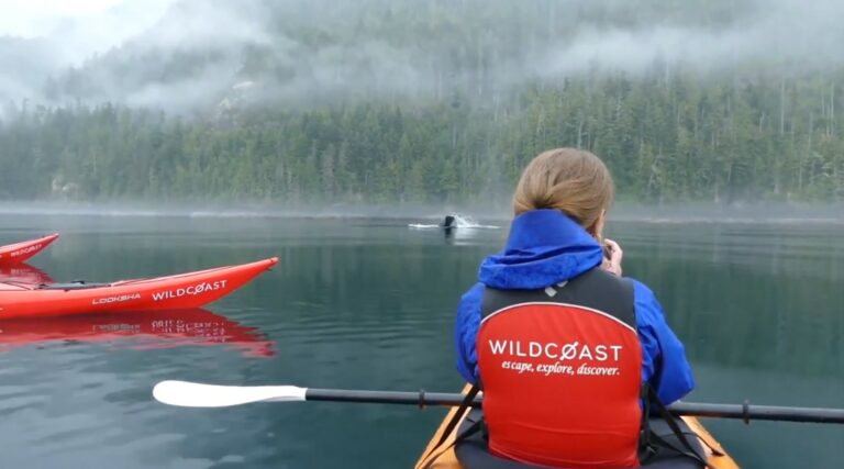 Kayak British Columbia - Home to Killer Whales and Bears