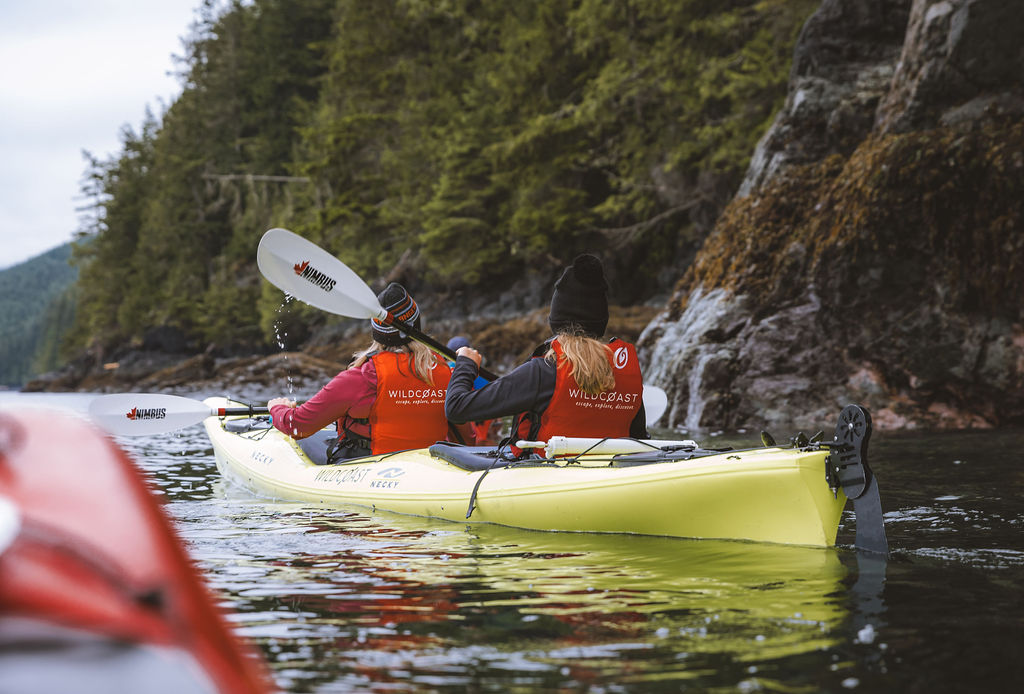Special Offers 2024. Kayak with Whales in BC. Multi-day Kayak Tours